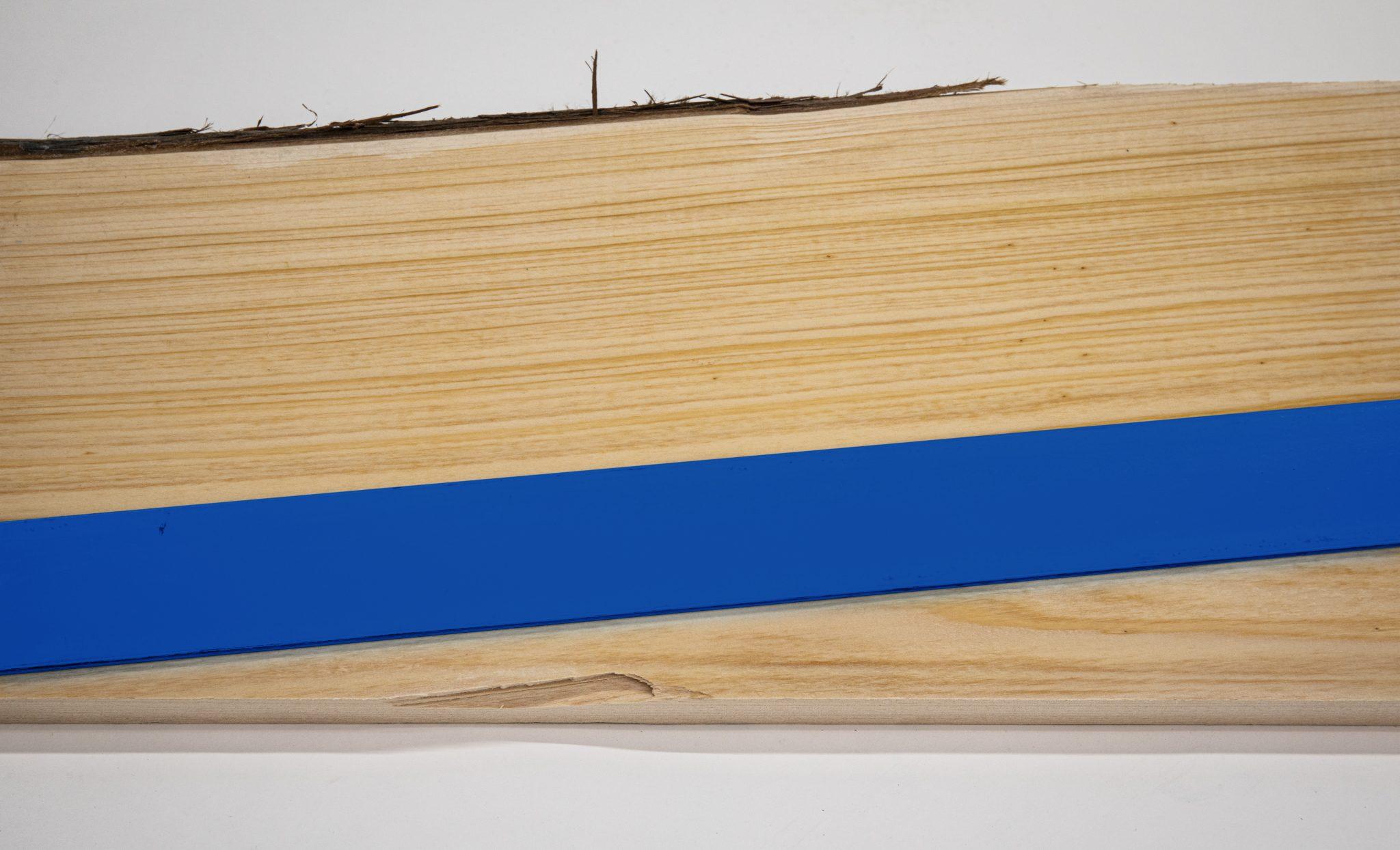 Step up your project skills with ripping | Kreg Tool