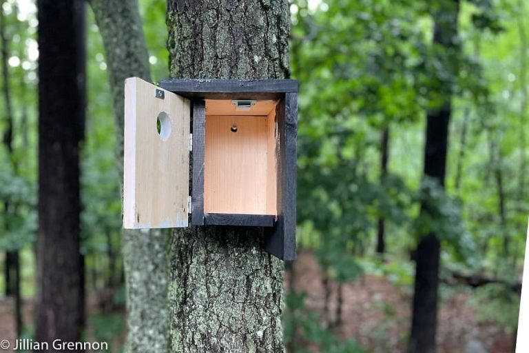 20 Best Small Wood Projects for Beginners or Experts | Kreg Tool